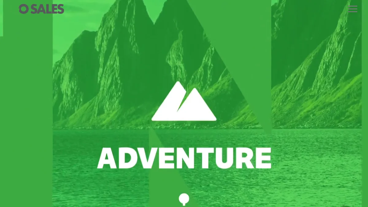 About Us Page - GO SALES HOLDINGS LTD.